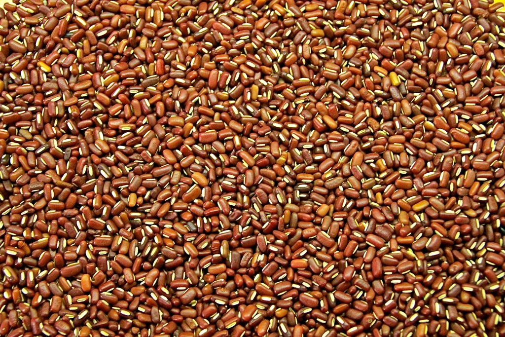 limsakdakul – Red bamboo beans